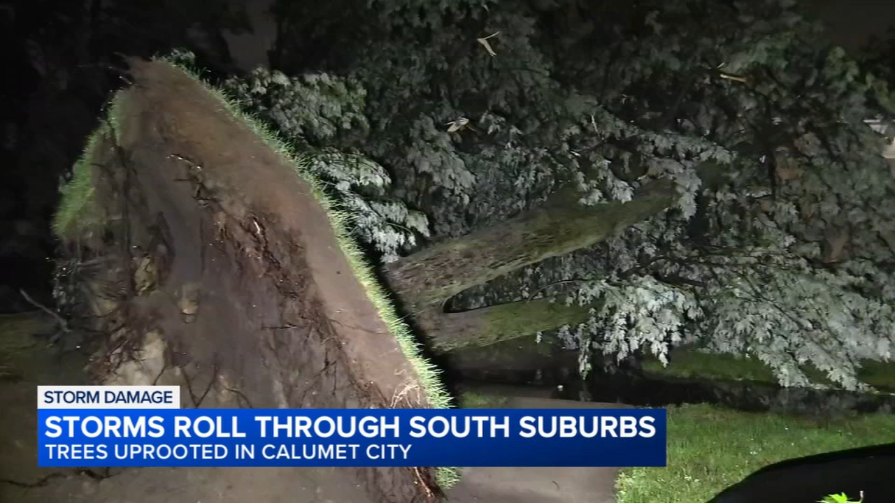 South suburbs deal with more property damage after Saturday night storms