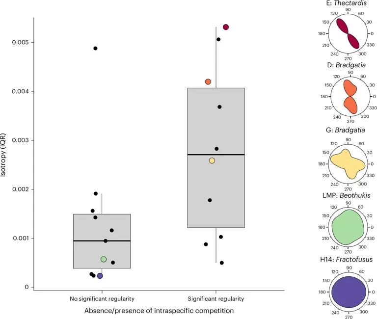 574 million-year-old fossils reveal a lack of sex delayed evolution for ...