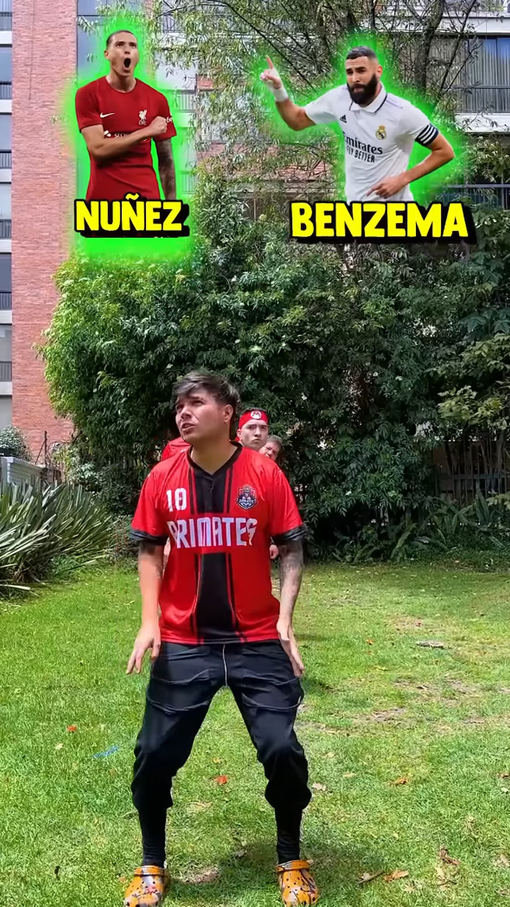 Elección de fútbol definitiva: Gato vs Toro vs Tortuga, vota ahora ...