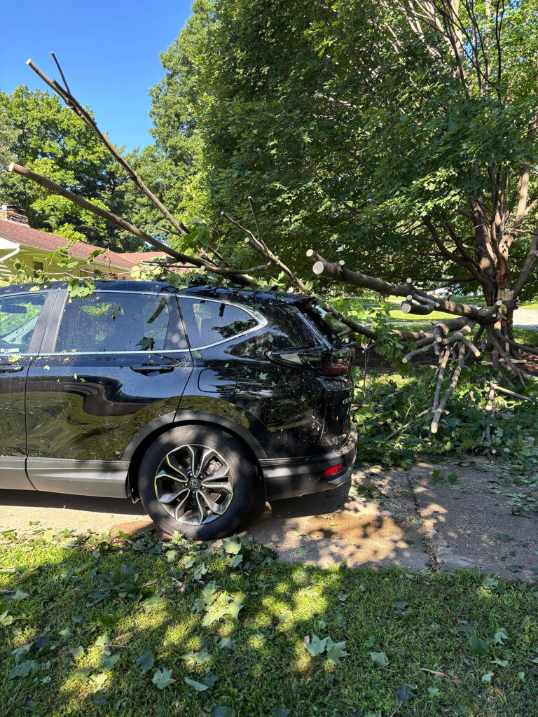 Debris drop-off announced as KC neighbors clean following metro storm