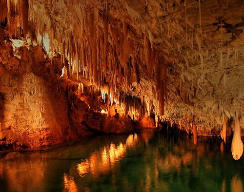 Creatures found only in island cave systems