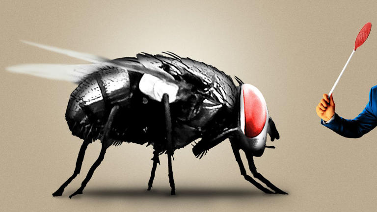 Creeping screwworm: Trump's new political pest