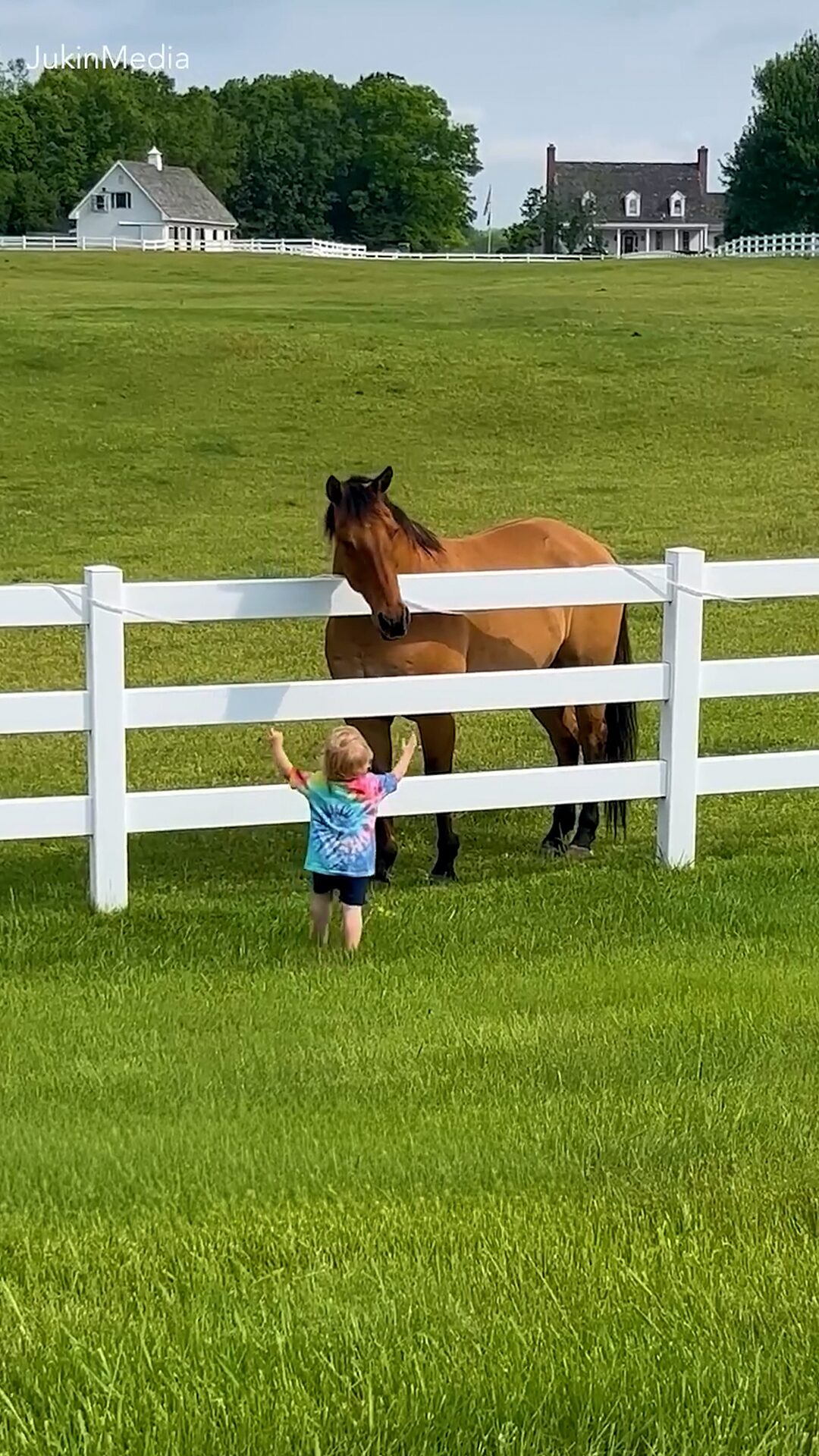 Toddler won’t forget this magical moment ️