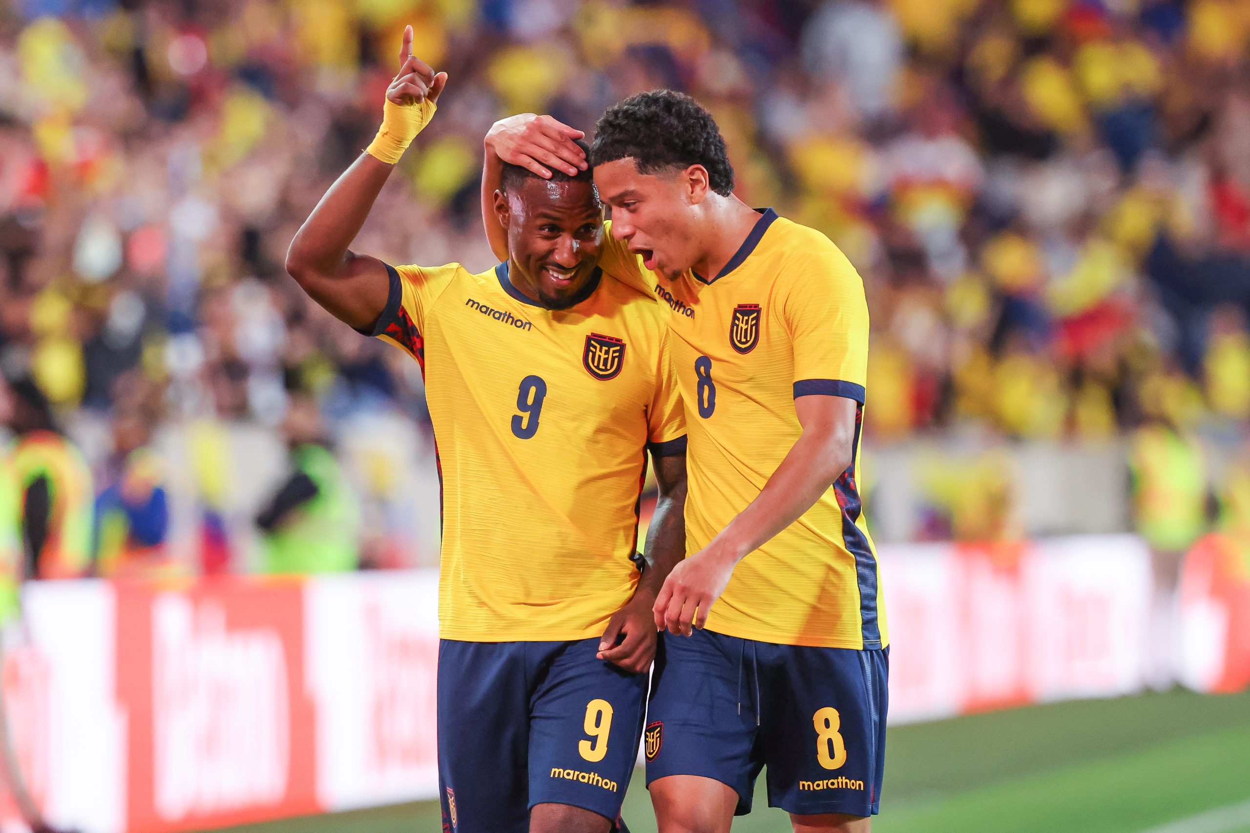 Ivory Coast vs. Ecuador prediction, odds, picks for World Cup match
