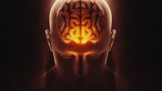 Your brain is not built for multitasking: Neurologist explains what it ...