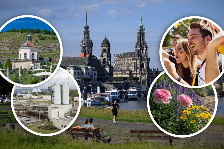Sechs Tipps für euren perfekten Sonntag in Dresden und Umgebung