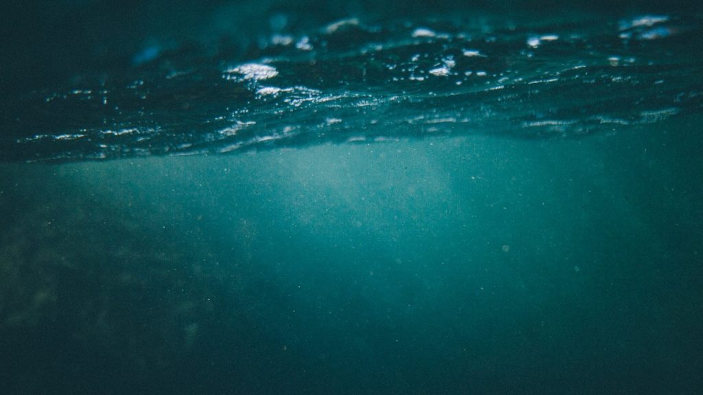 Mystery creature found in Japan’s deepest ocean trenches