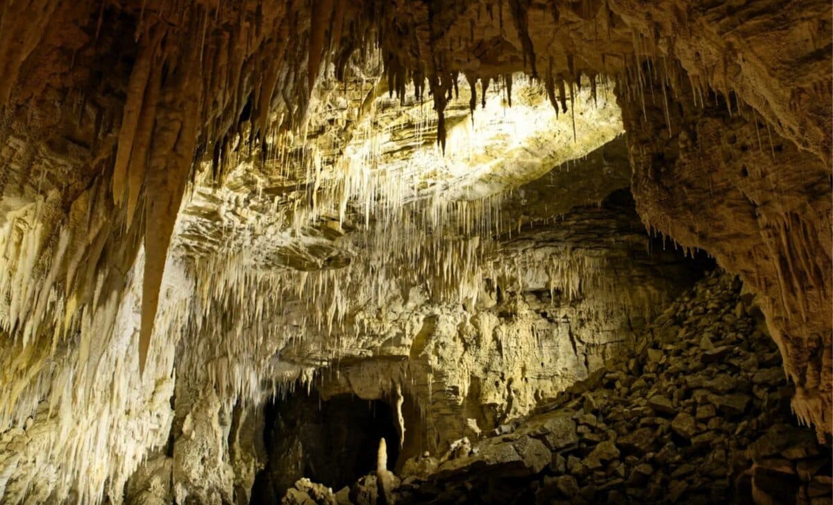 Scientists dug into an ancient cave and found remnants of a lost world ...
