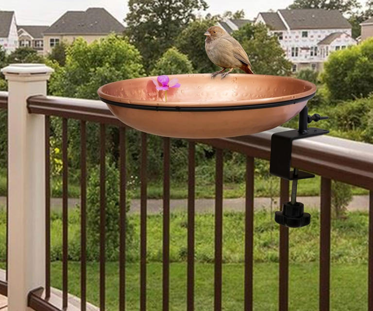 These 7 bird baths will get birds flocking to your garden – whatever ...