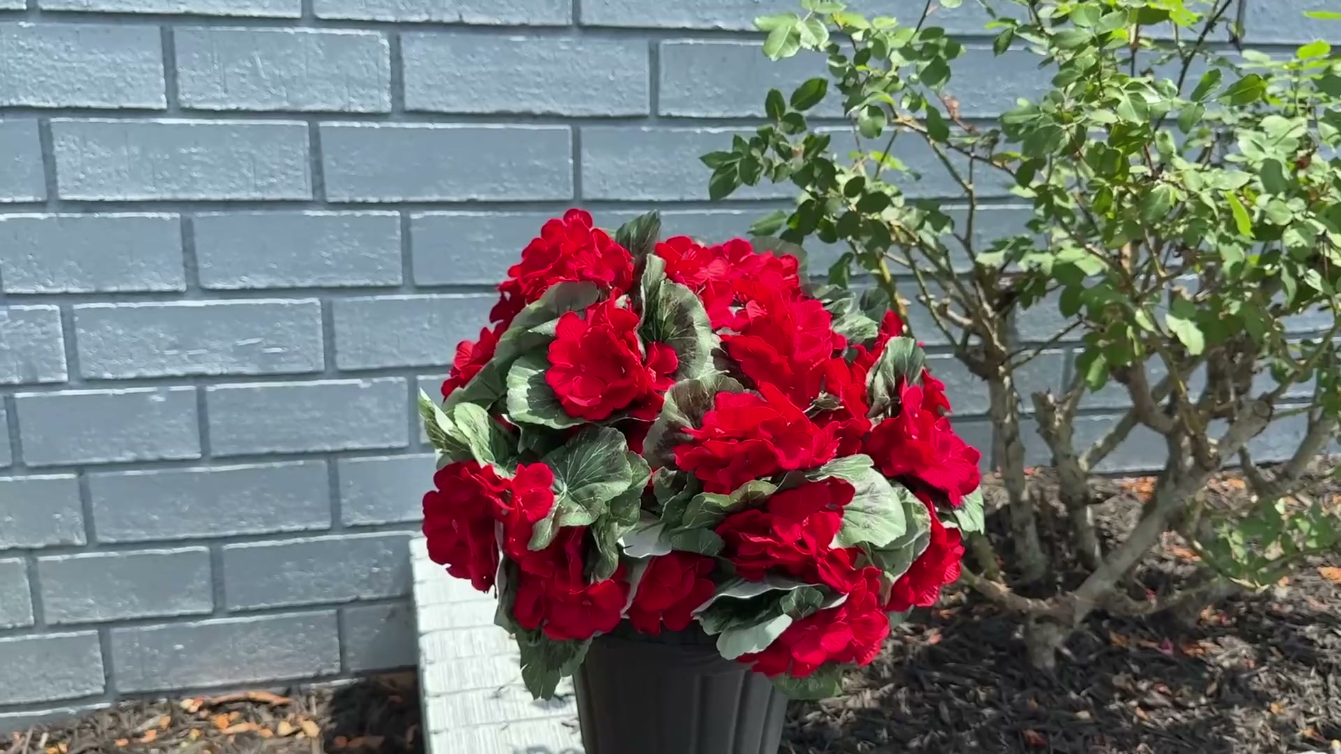 People are so surprised they didn't know this $3 curb appeal trick!