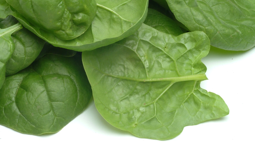 Daily spinach habit offers major health benefits, experts say