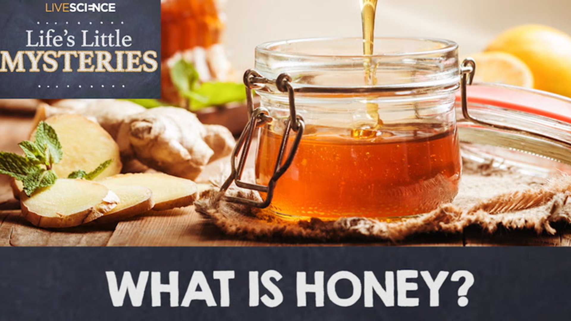 Life's little mysteries: The science of making honey