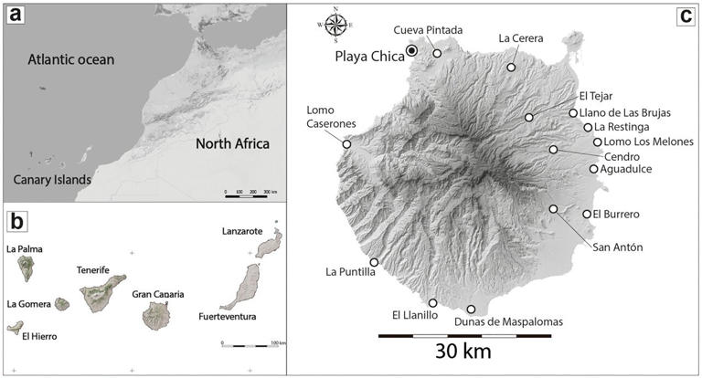 Canary Island relics offer new clues into how North African cultures ...