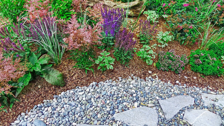 The truth about gardening mulch
