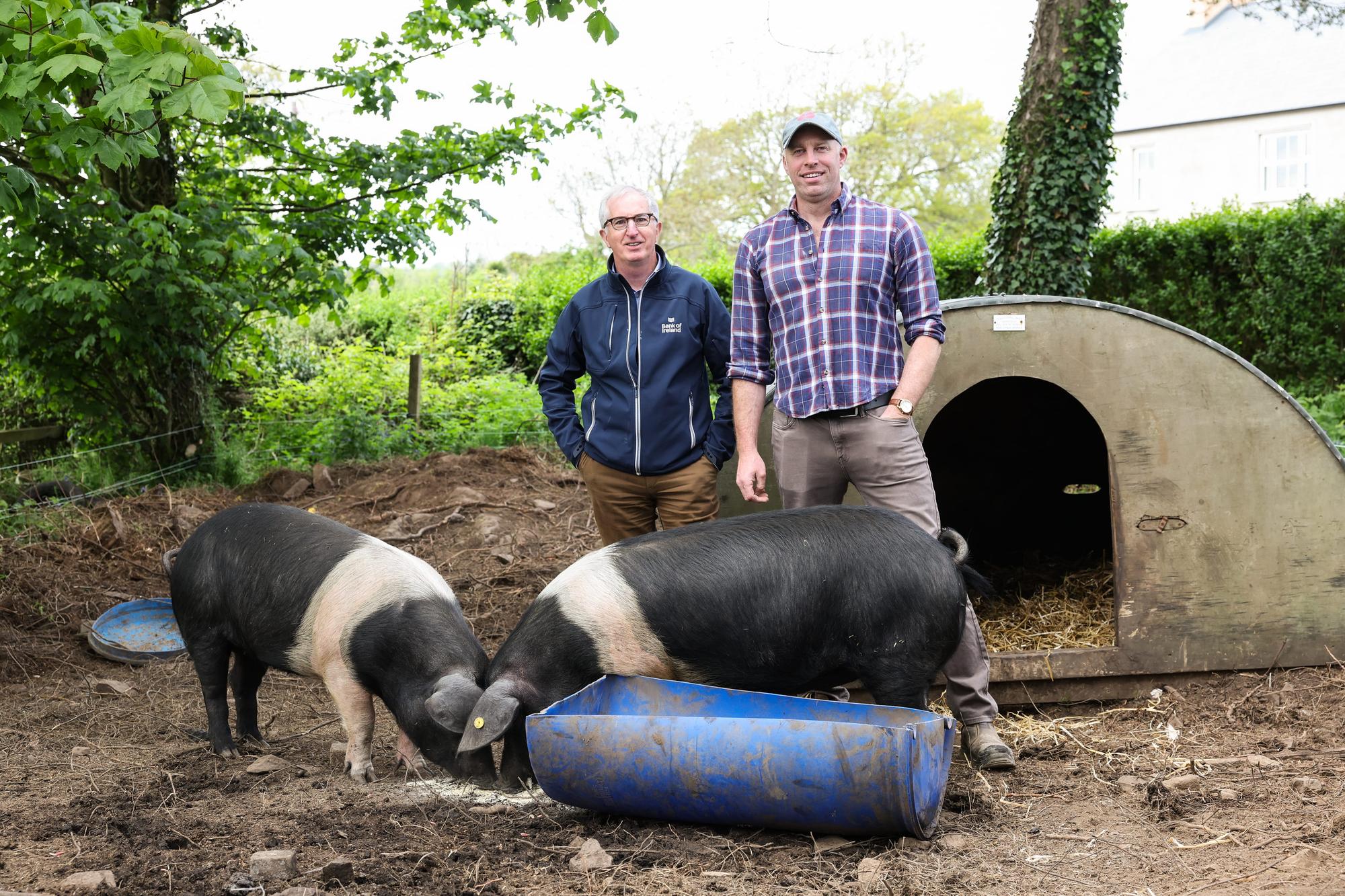 Stonebridge Farm: Heritage breeds, sustainable practices and farming ...