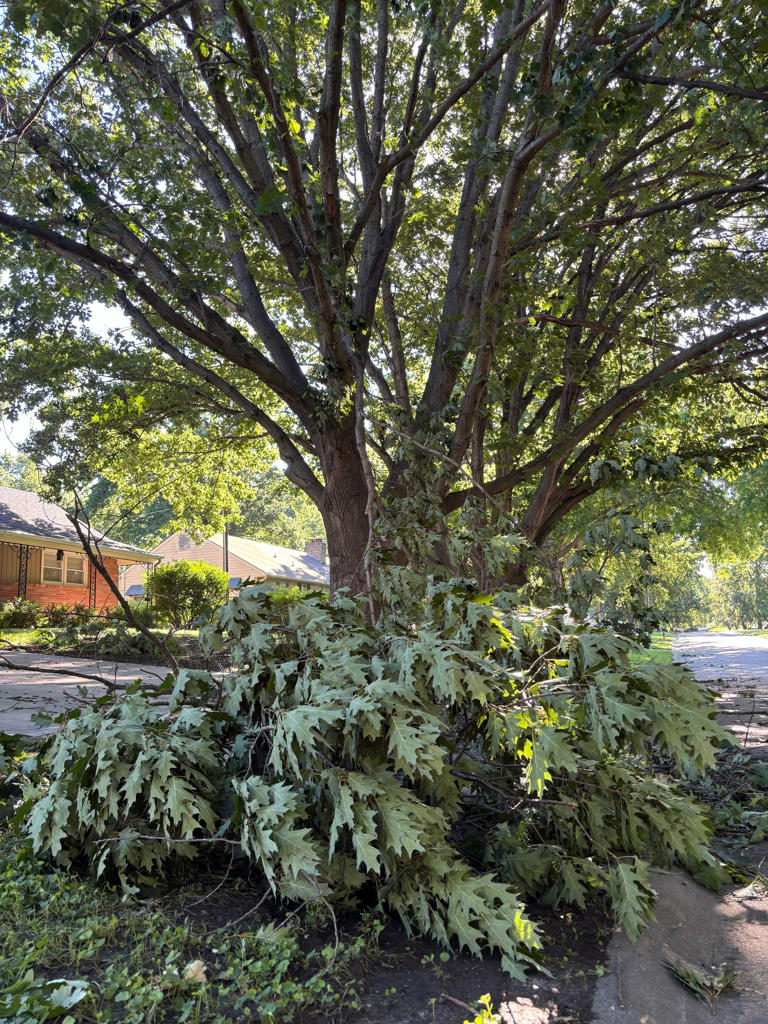 Debris drop-off announced as KC neighbors clean following metro storm