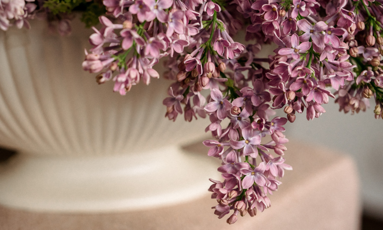 Petals & Roots: Creating an abundant table design with seasonal flowers ...