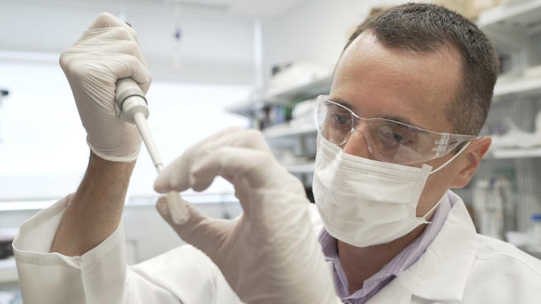 The future of health—from head to toe