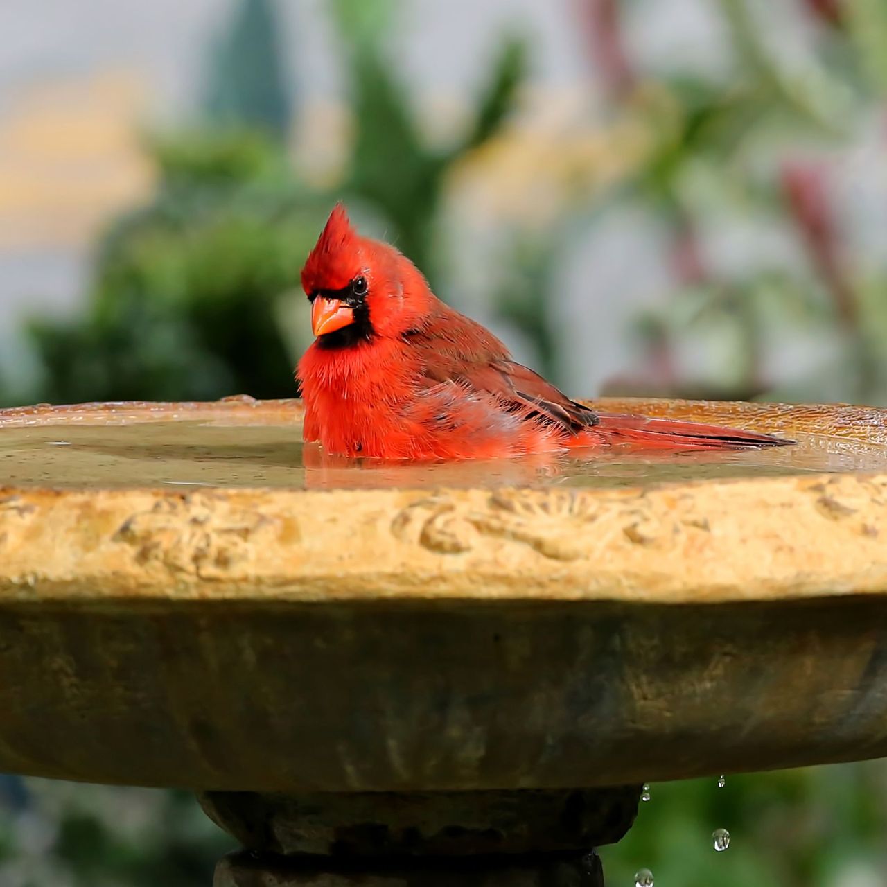 These 7 bird baths will get birds flocking to your garden – whatever ...