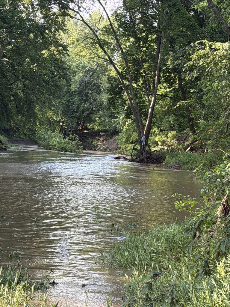Flood rescue: Driver, dog survive after car swept off Pettis County ...