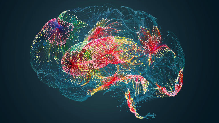 Mystery or myth: Are people really left-brained or right-brained?