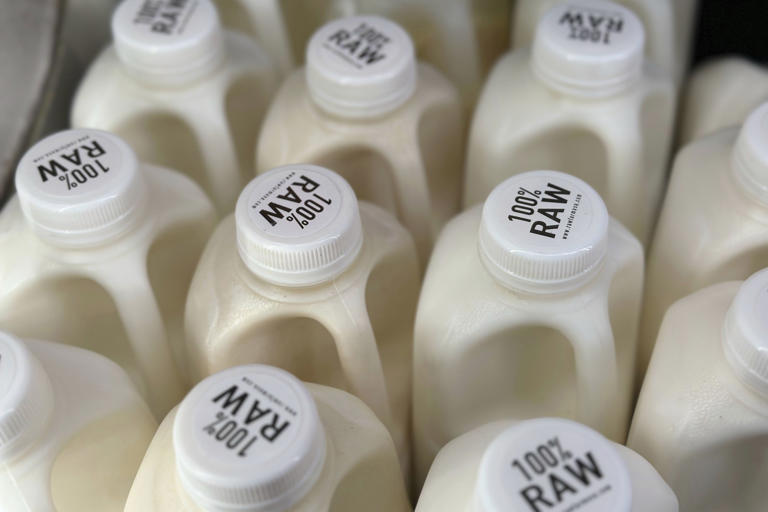 A giant of raw milk sees sales soar despite risks
