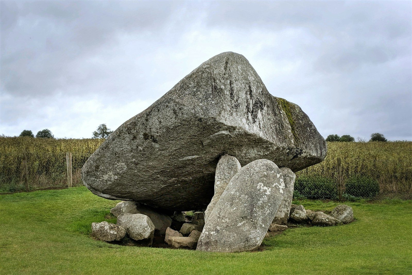 Why an intact Spanish tomb rewrites Bronze Age trade