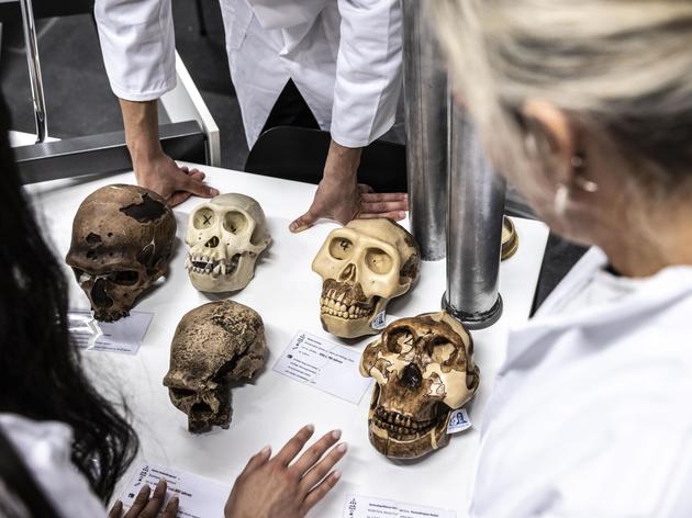 Night of Science lockt Tausende mit Escape-Room und Nosferatu-Spinne