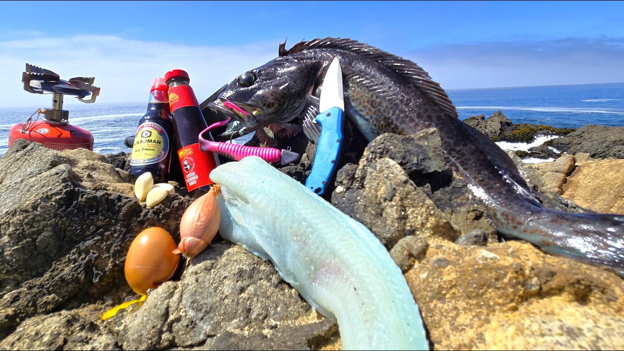 Delicious blue meat: Lingcod cooked on the spot!🍳