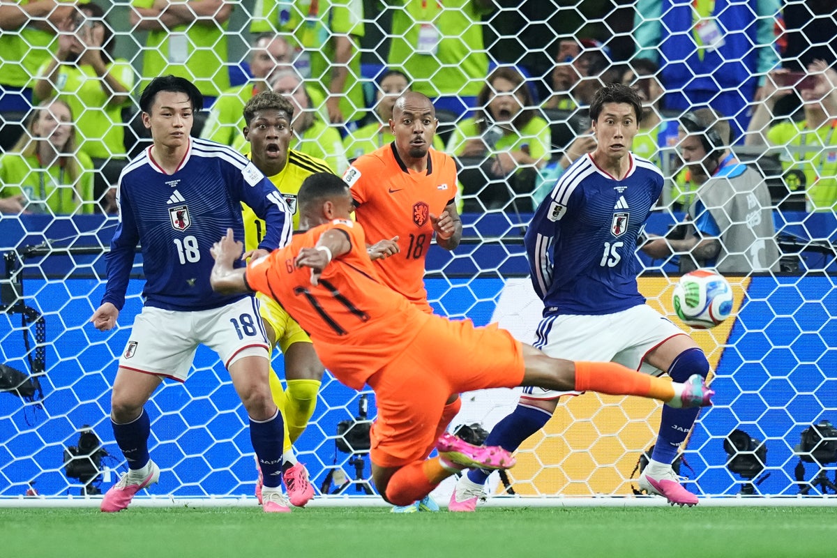 Gakpo wastes big chance for Netherlands against Japan at World Cup