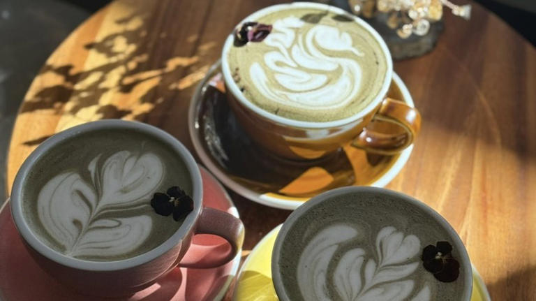 The local coffee shop in every state that customers crown as best