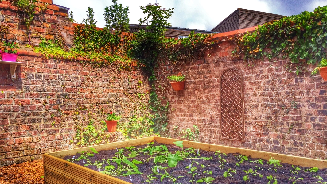 Experts say raised bed soil rarely needs full replacement