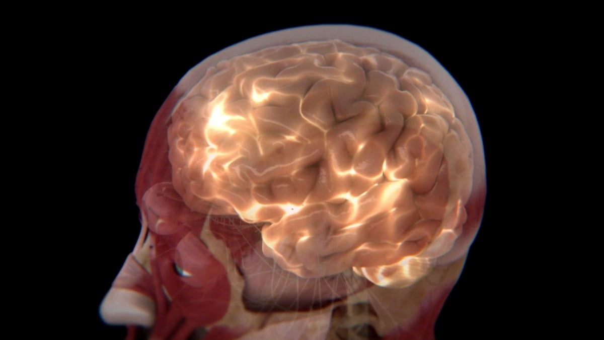 Scientists identify 2 distinct subtypes of autism in the brain