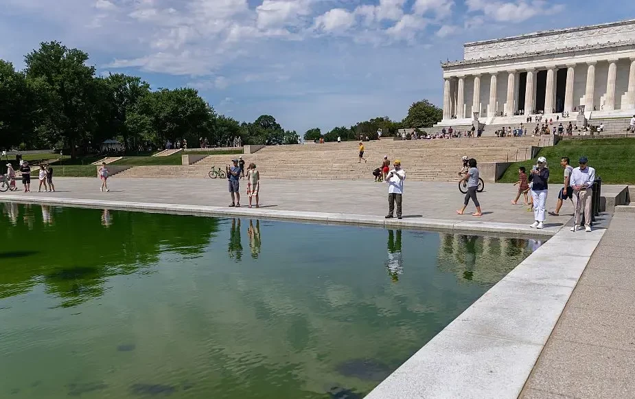MAGA host claims sabotage behind Reflecting Pool algae bloom