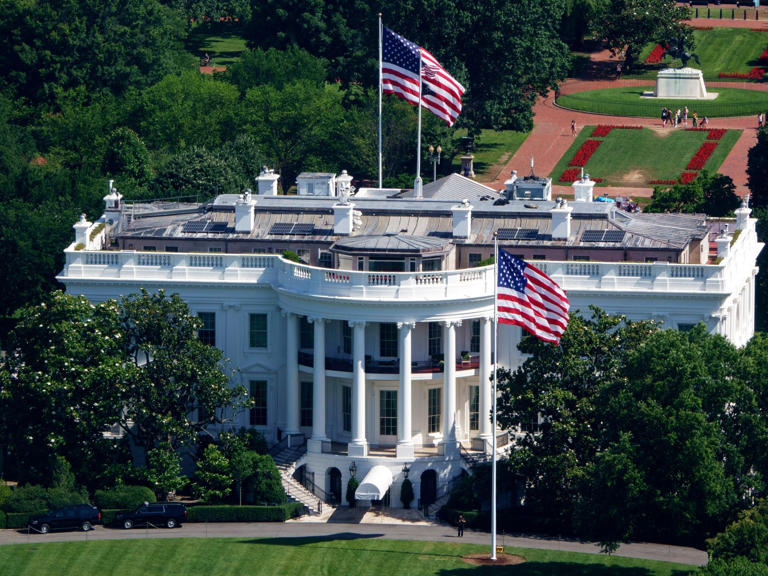 From wedding gift frustration to the White House: Allegiance Flag ...