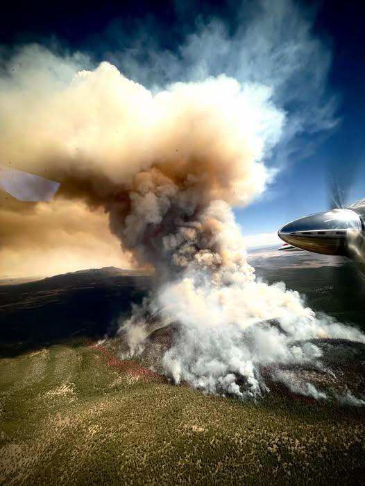 Bear Fire burning in Gila NF now at 6.6K acres, 3% contain