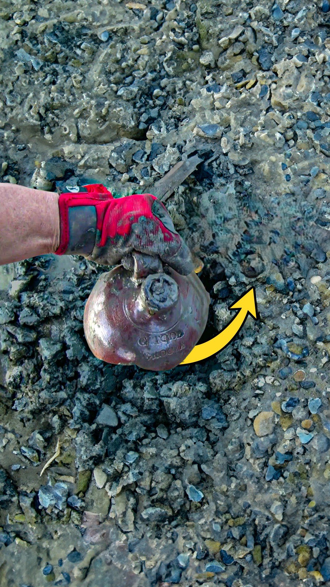 Ancient flagon found in Thames mud