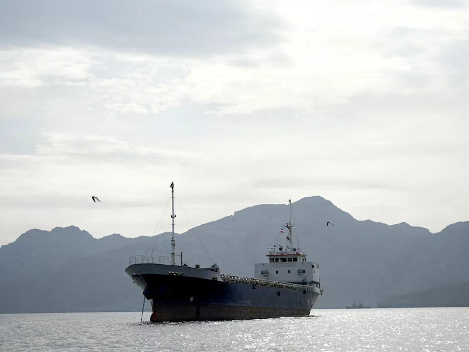 Rescued 14 Indian sailors on board a vessel before it sank off Oman: US ...