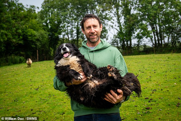 When animal rights go wrong: From rescued racing snails to sheepdog ...