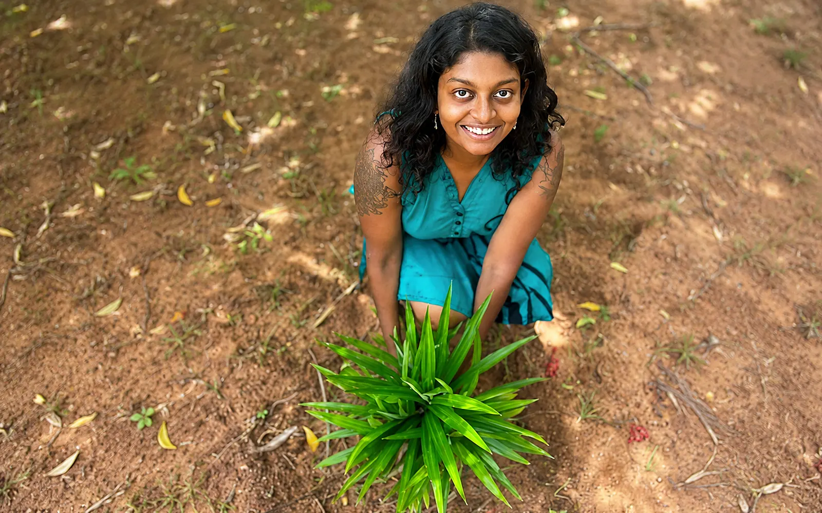 Can pandan conquer India? This entrepreneur thinks so
