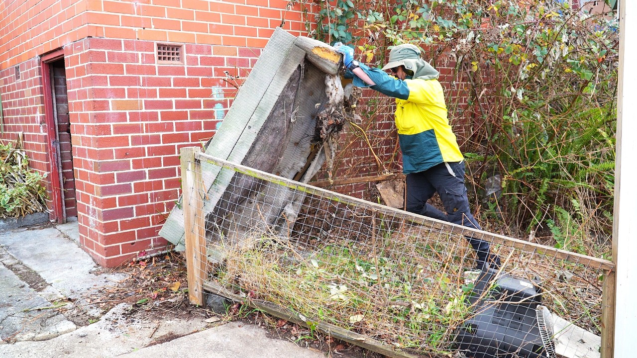 I tackled a post-apocalyptic yard 🏡