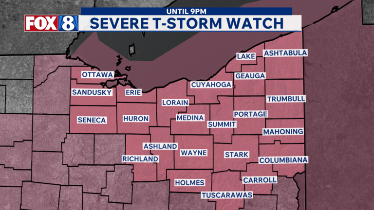 Severe thunderstorm watch in effect for NE Ohio
