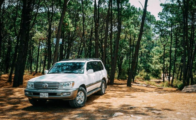 These SUVs keep going for years: The models known for exceptional ...