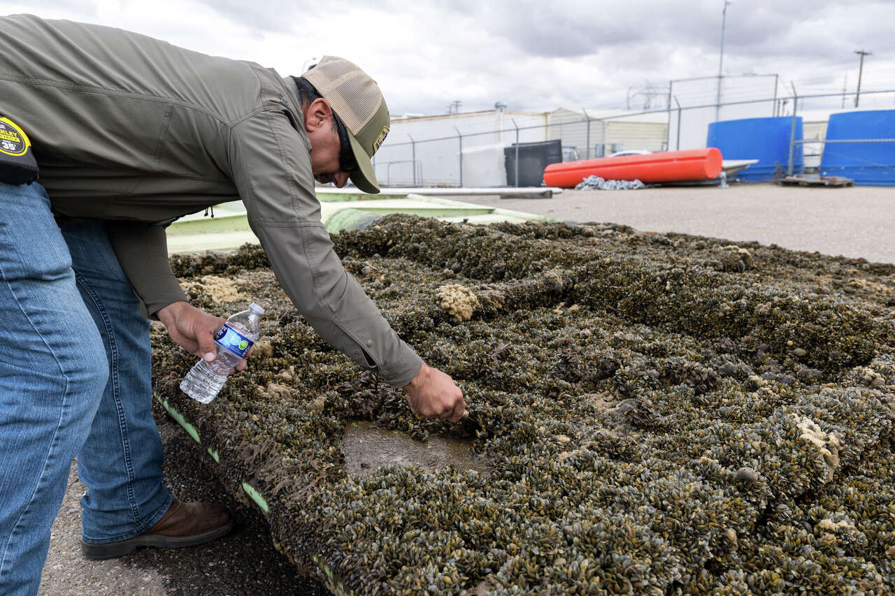 California's waterways could get clogged by a problem that didn't exist ...