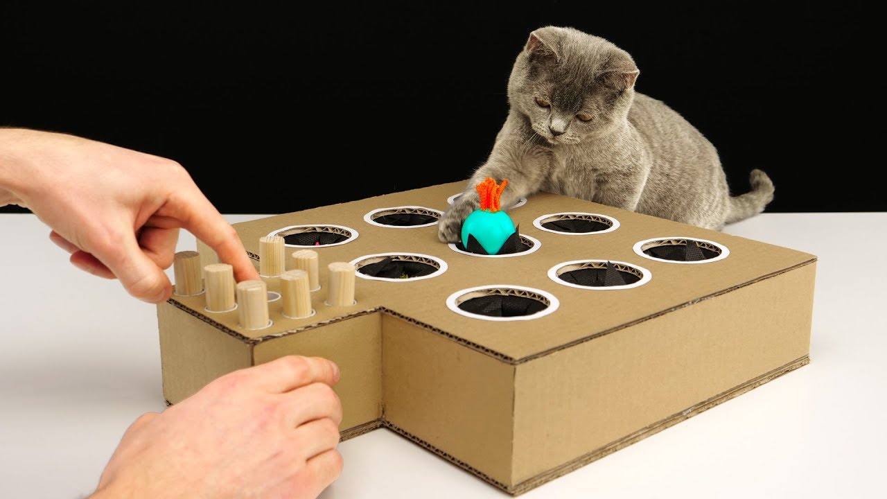 DIY cat toy whack-a-mole from cardboard