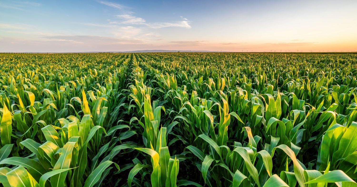 Farm group stresses electoral issues affecting rural Iowans