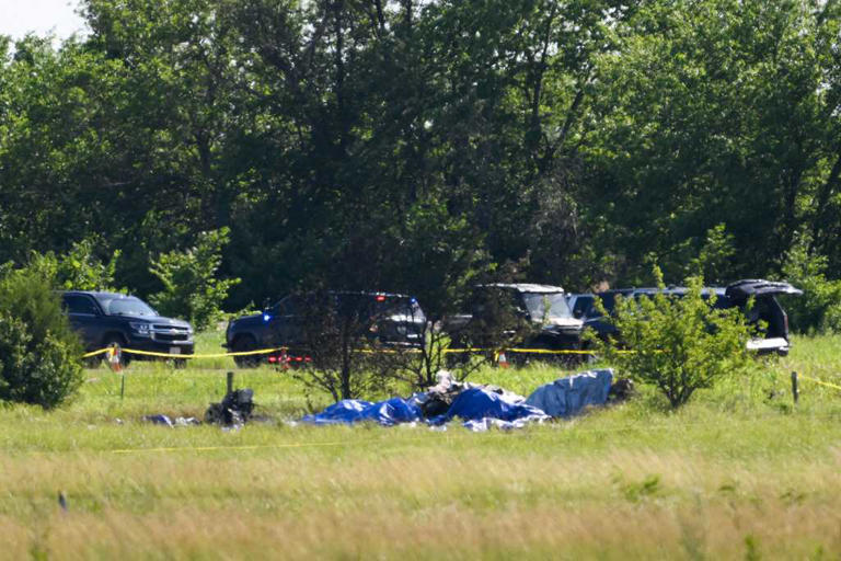 11 passengers and a pilot are dead after skydiving plane crashes near a ...