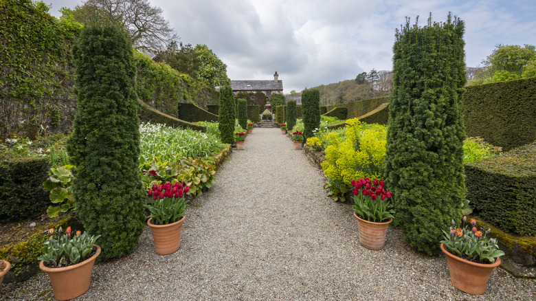 Alternatives to using landscape fabric under gravel to prevent weeds