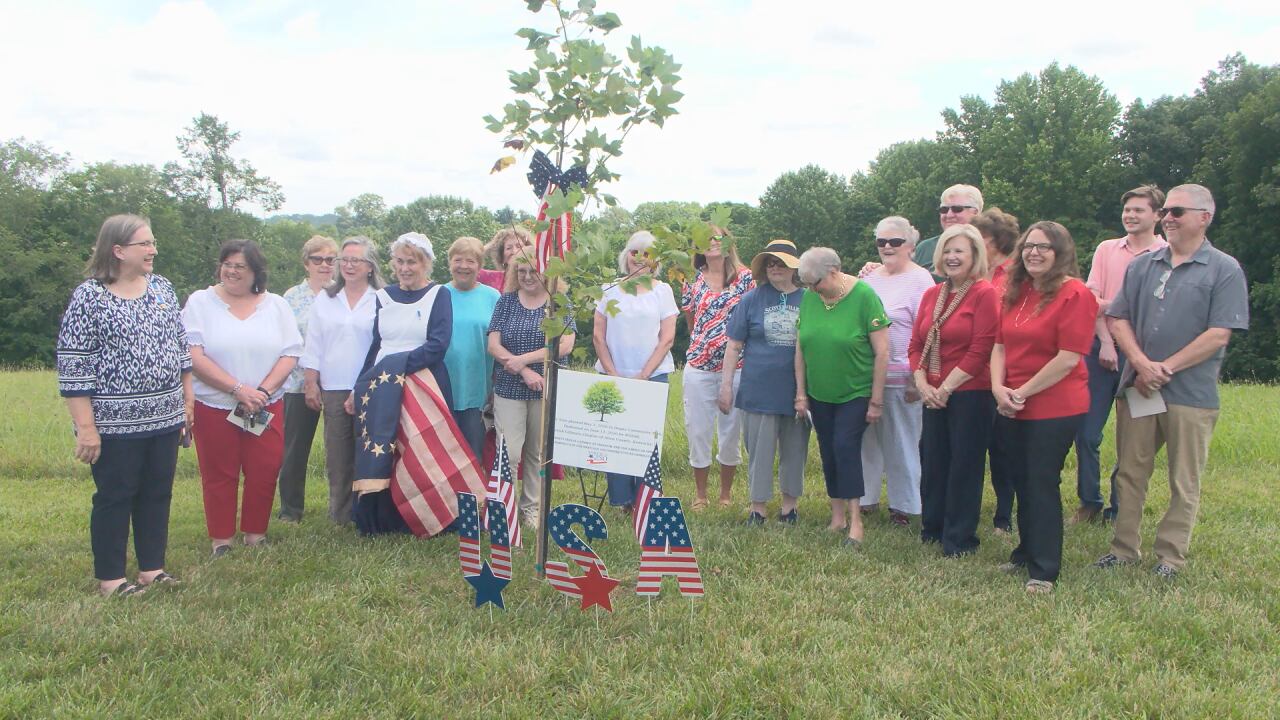 Allen County plants Liberty Tree to honor America’s 250th anniversary