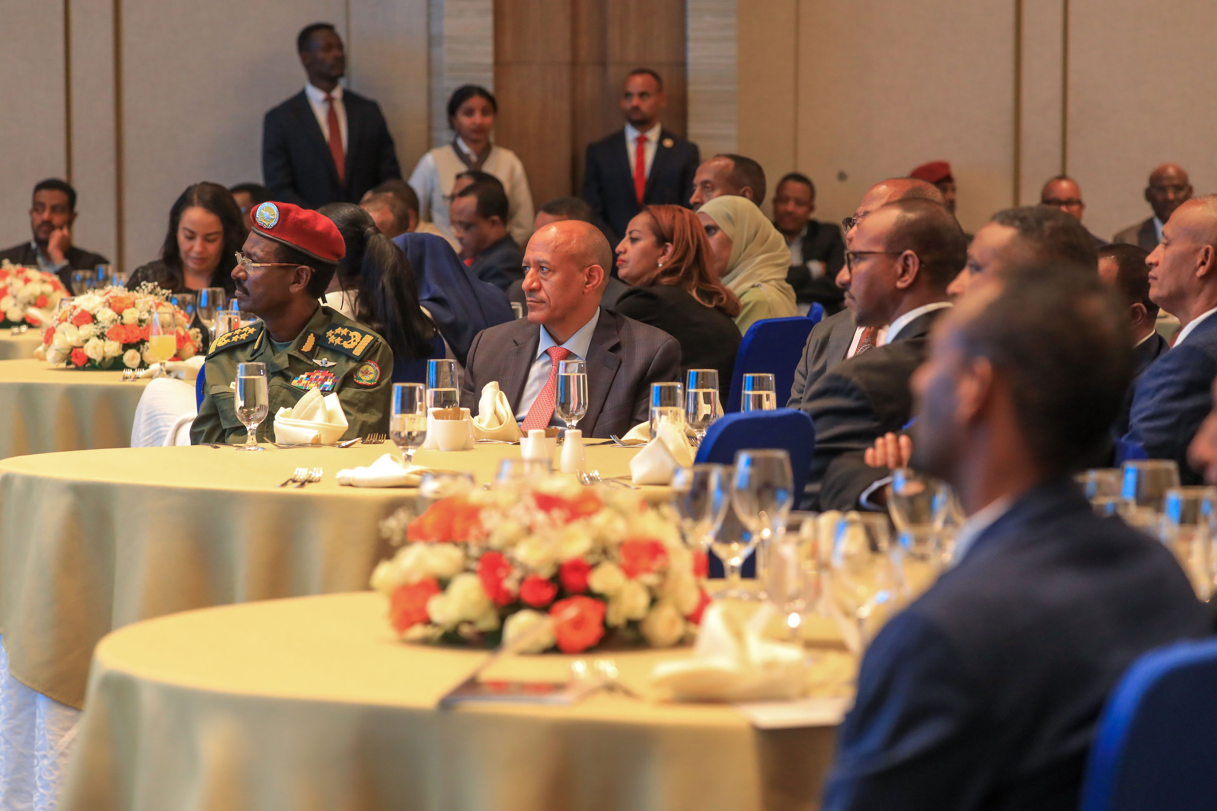 Ethiopia's political reforms scale up civic space, says ECSOC president